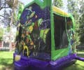 USA | Ninja Turtle Moonwalk | Sky High Party Rentals